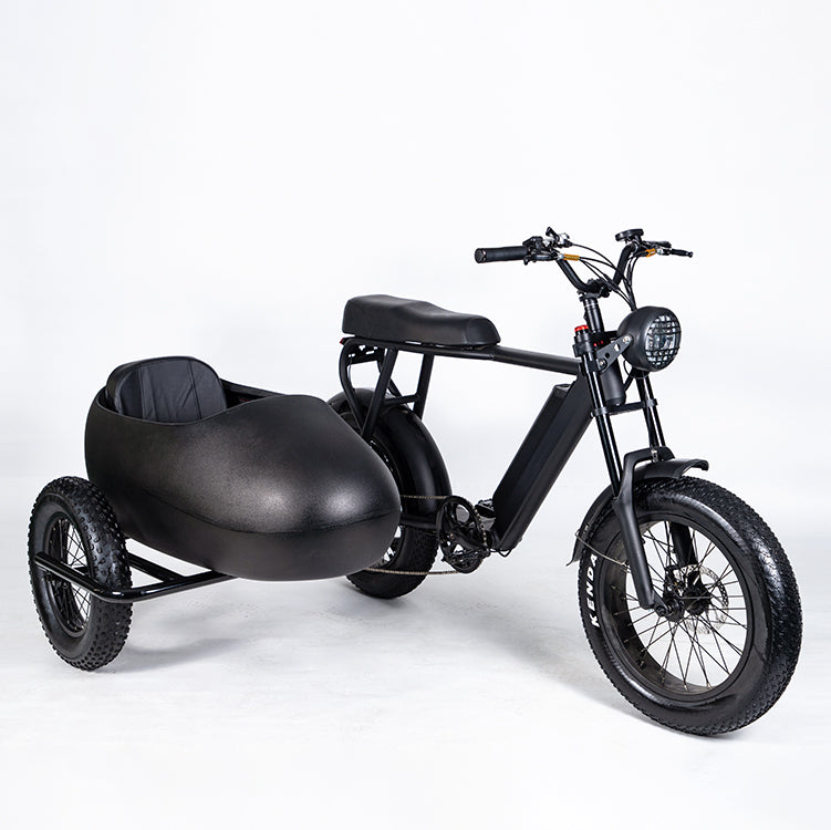 TS75-4815: The Ultimate Electric Sidecar Bike for Your Adventures ...
